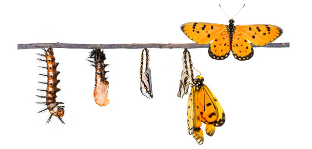 Upgrade Your AIOps From Netcool | Moogsoft